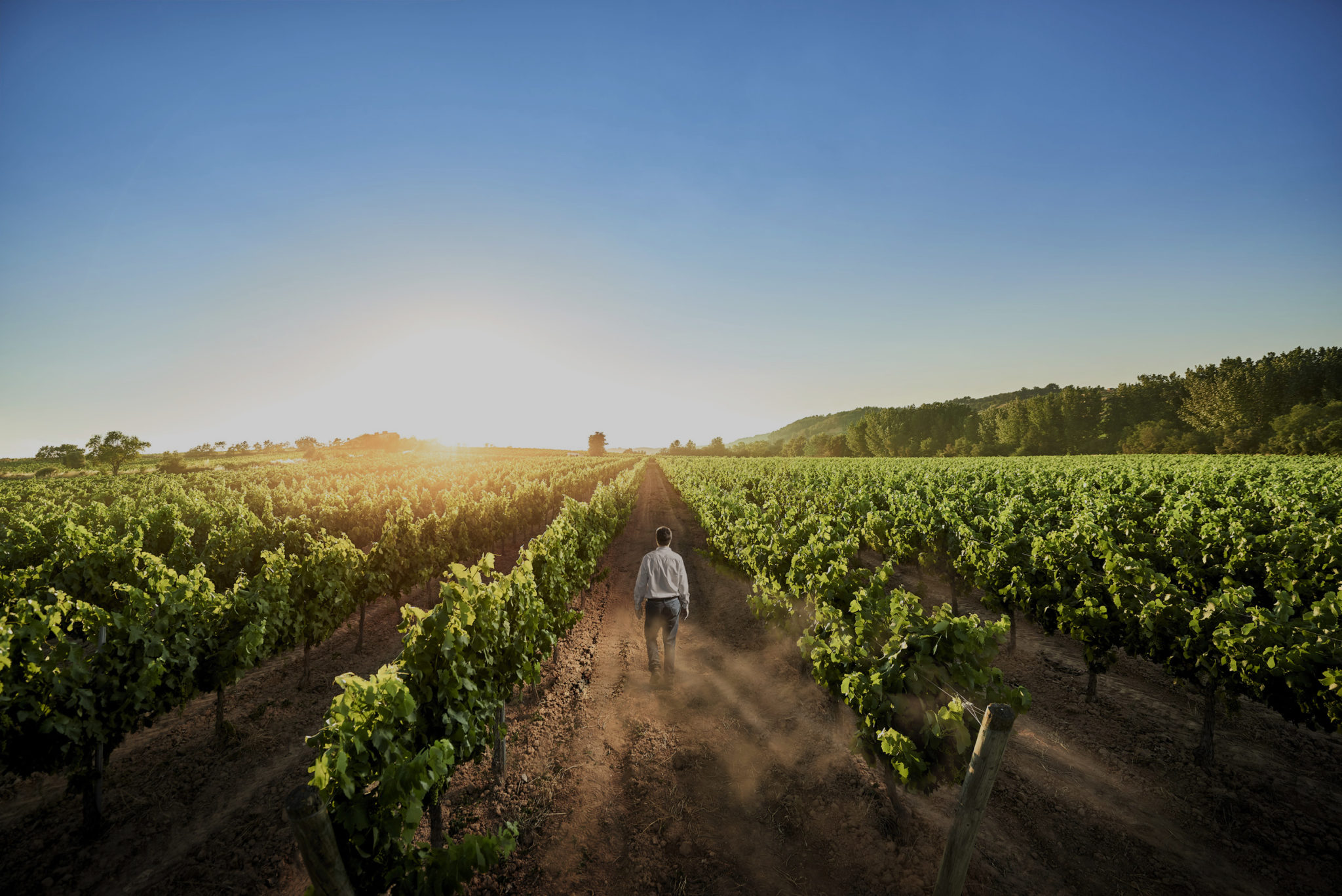 IQV Corporate - IQV Matholding Group