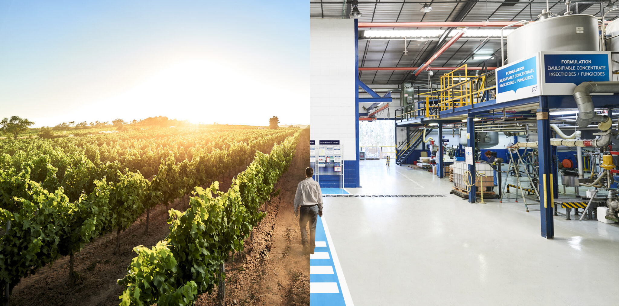 IQV Corporate - IQV Matholding Group