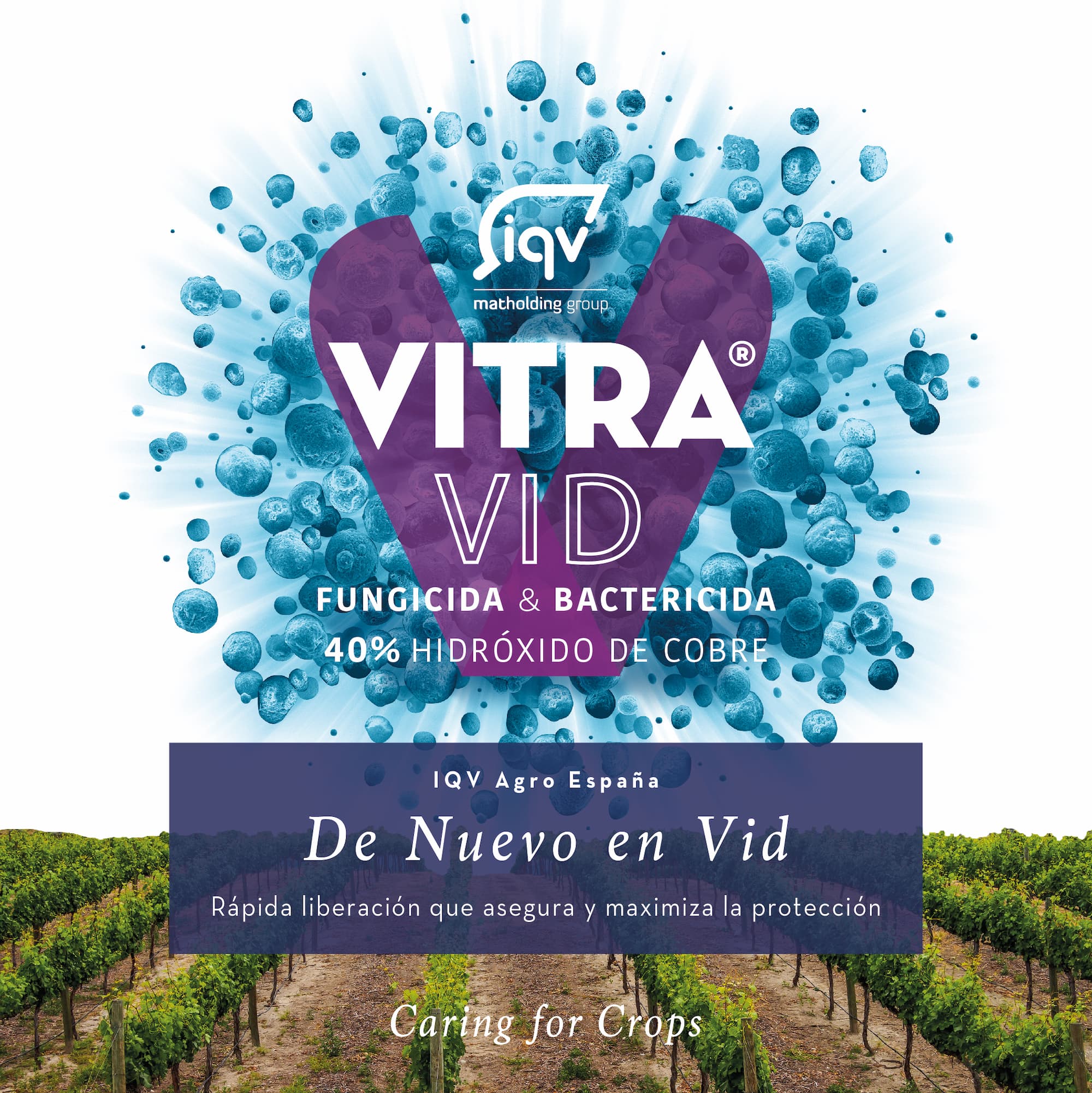 Vitra® Vid, la nueva solución a base de Hidróxido de Cobre autorizado ...